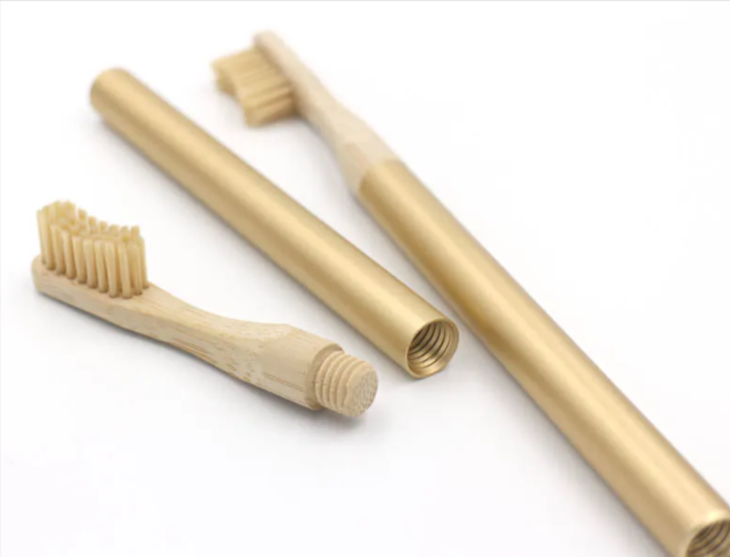 Brushem Manual Toothbrush with replaceable head